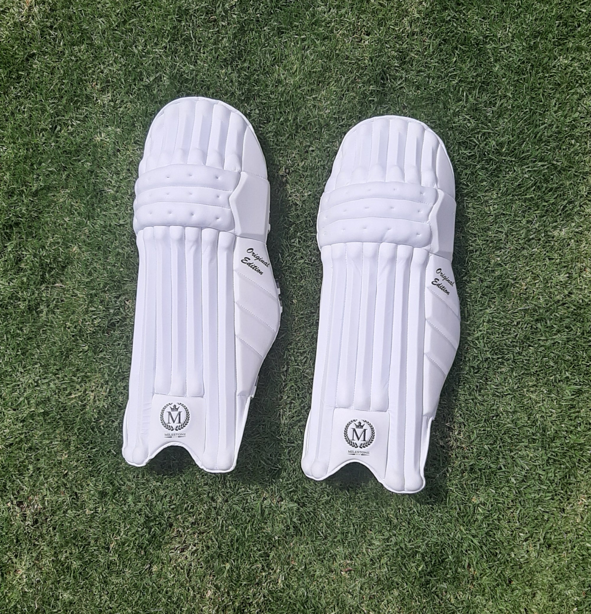 Milestone Cricket - Elevating Cricket Excellence