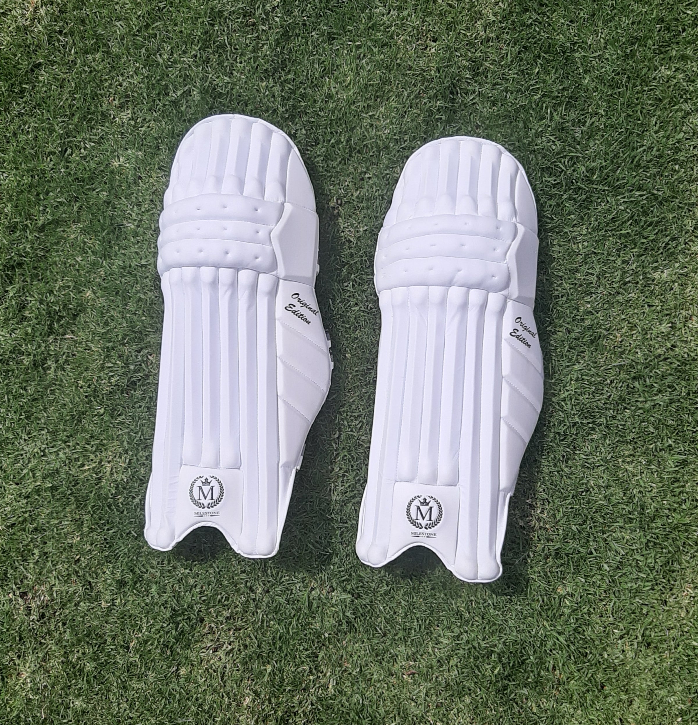 Milestone Cricket - Elevating Cricket Excellence