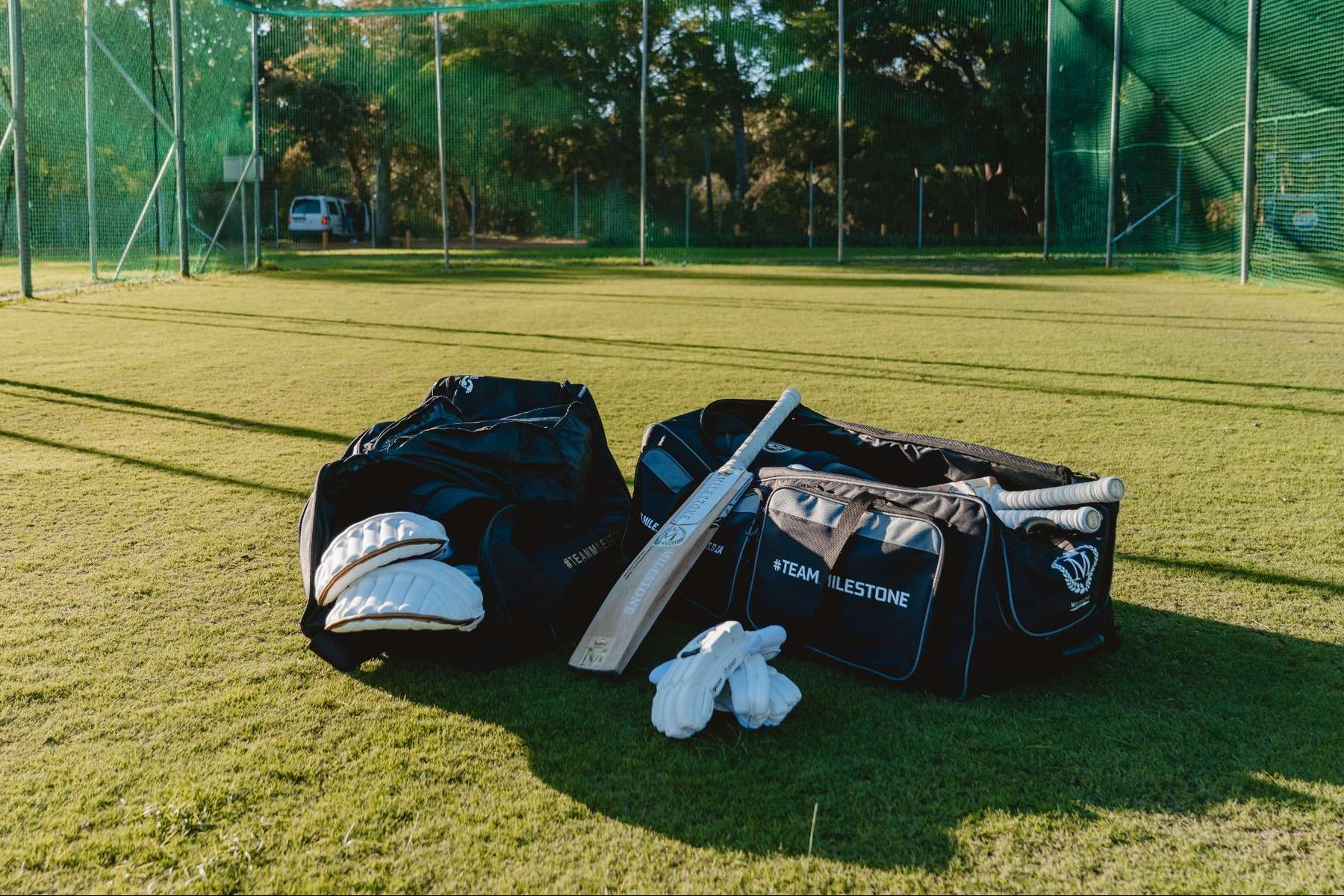 Milestone Cricket - Elevating Cricket Excellence