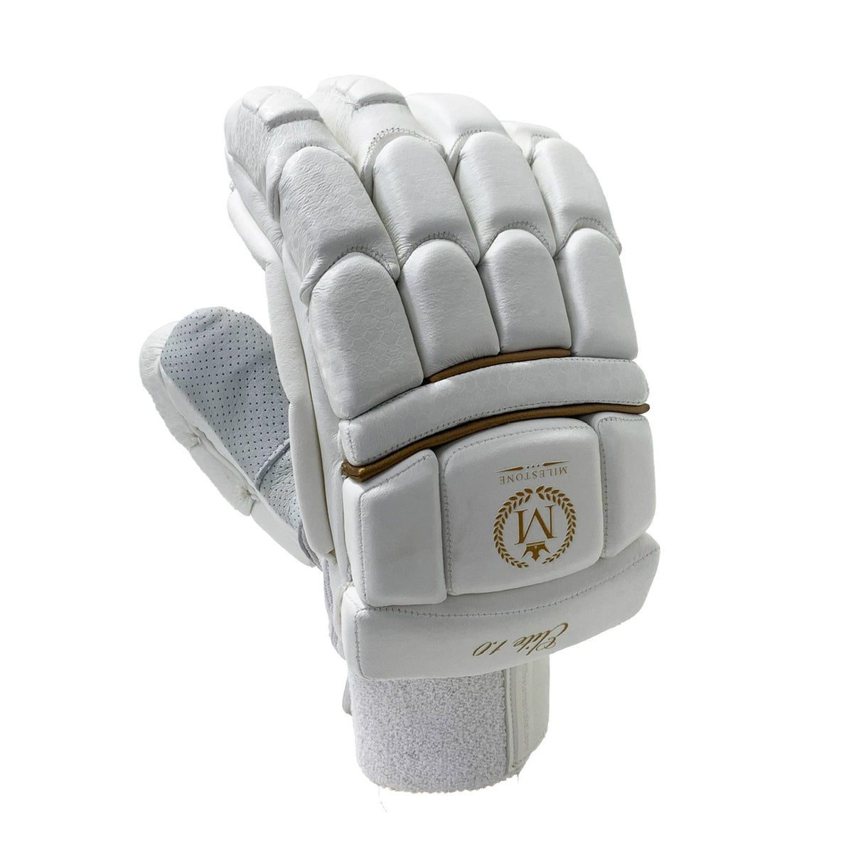 Milestone Cricket - Elevating Cricket Excellence